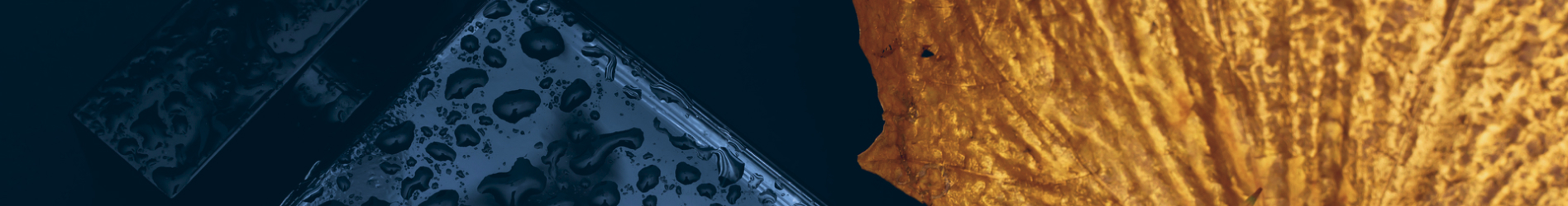 Rizki08 Portfolio: Stock Photos, Vectors, Video, Audio | Depositphotos