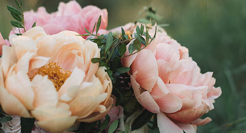 Buy Stock Photos, Royalty-Free Photography, High-Resolution Picture ...